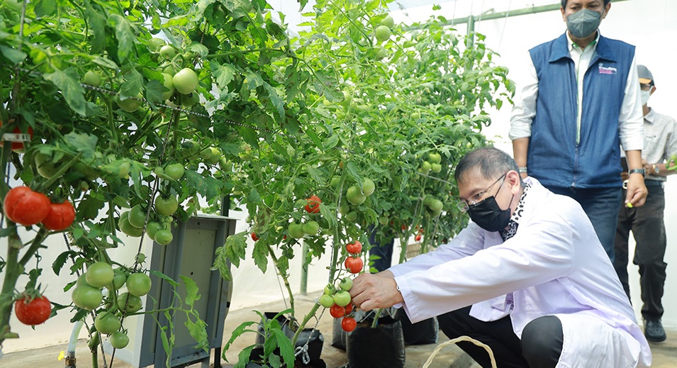 2024-SDG 2: ZERO HUNGER – The Sustainable Development Goals (SDGs)